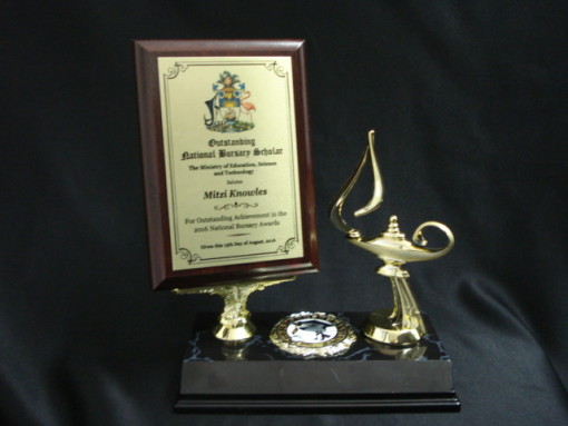 TC240 | The Trophy Case