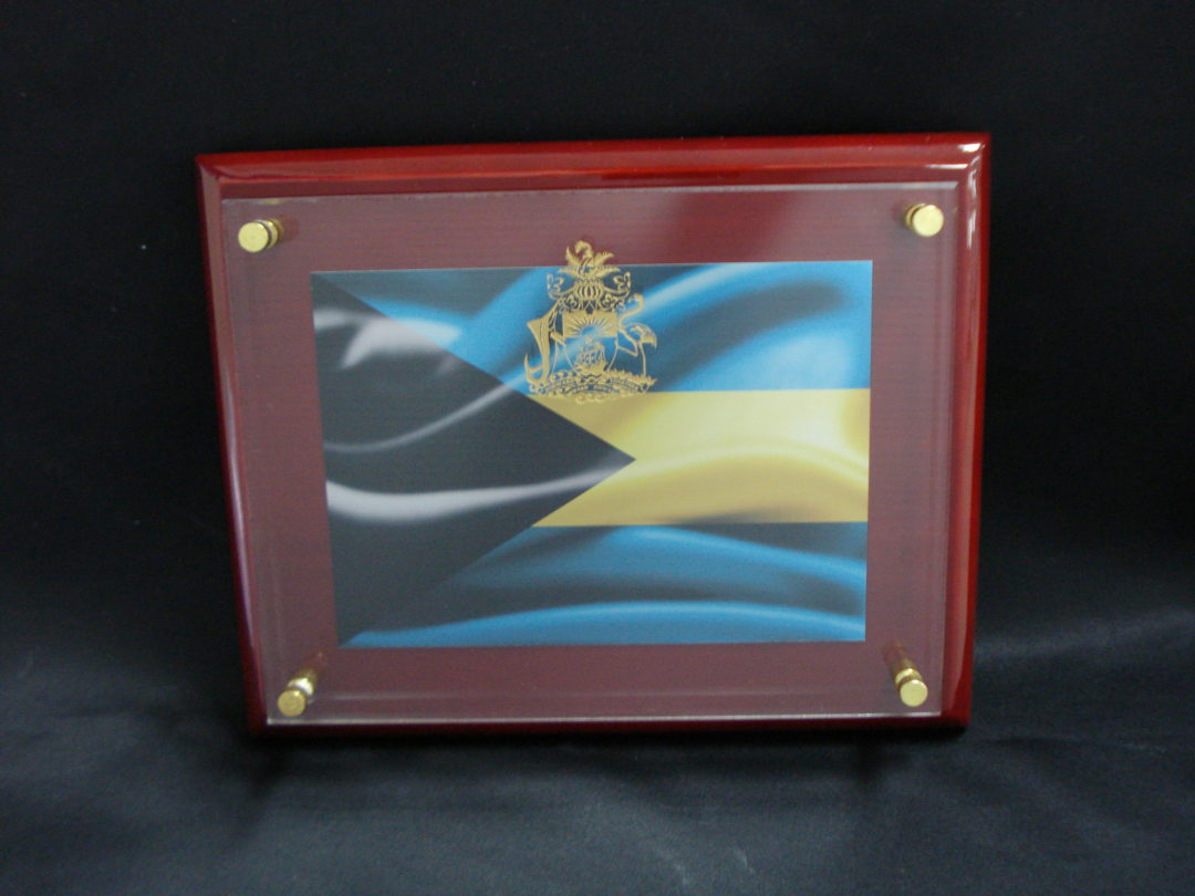 Premium Archives - The Trophy Case