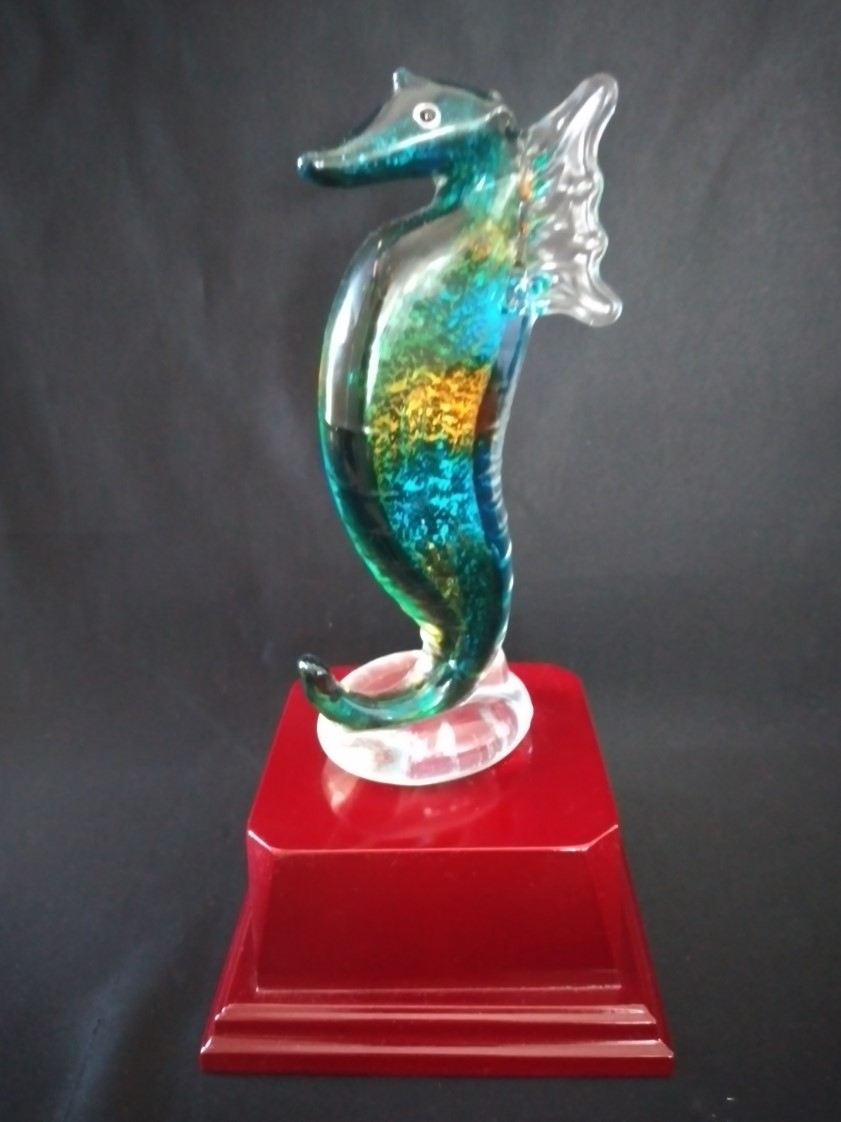 seahorse resz | The Trophy Case